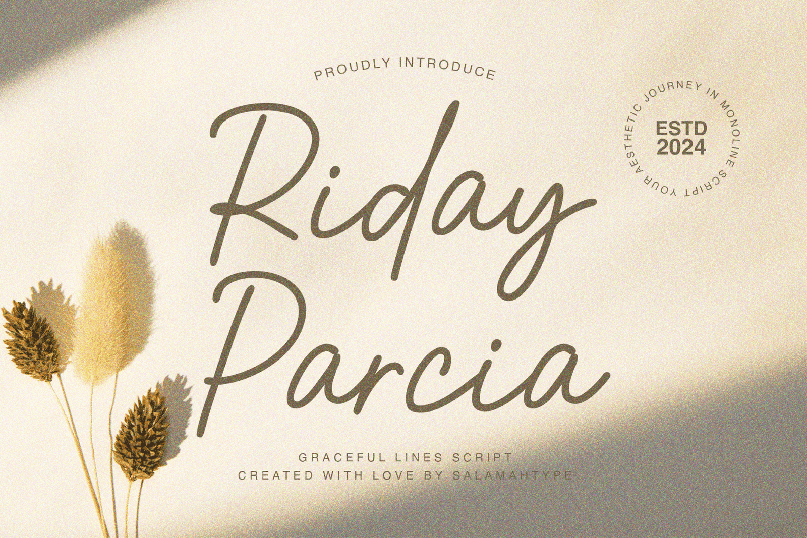 Riday Parcia - Modern Script Font - Salamahtype